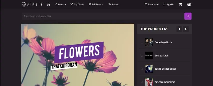 Airbit Review: Is it Truly the Ultimate Beat Marketplace?