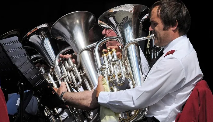 The 4 Main Types of Musical Instruments (with Examples)