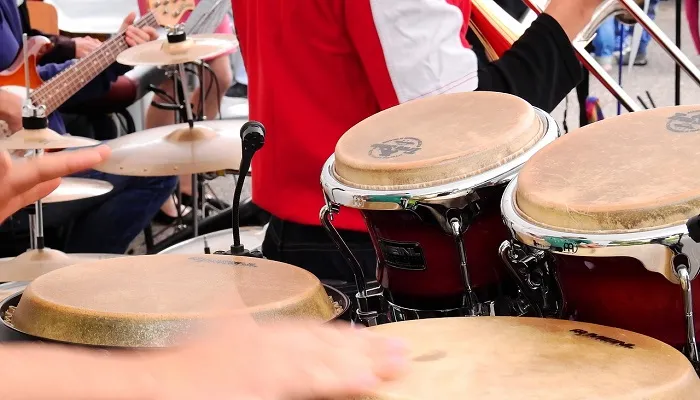 The 4 Main Types of Musical Instruments (with Examples)