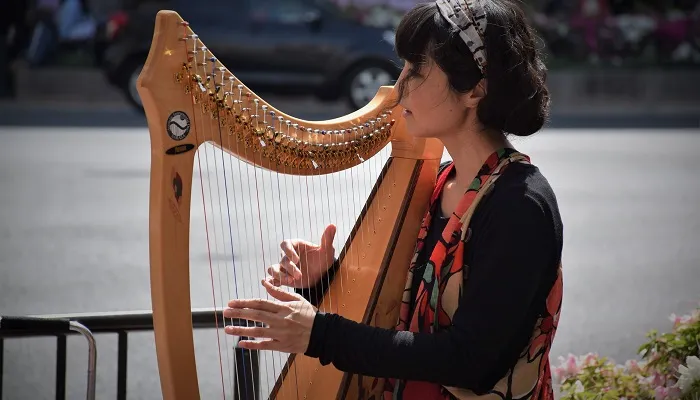 What is Music? Definition, History, Types, Effects & Examples