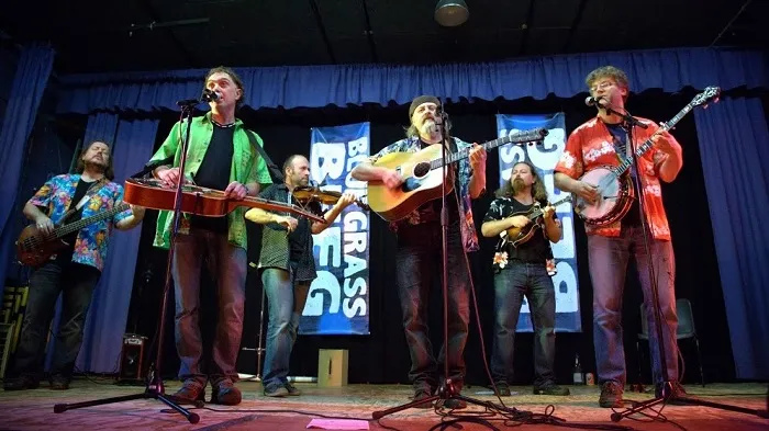 What Is Bluegrass Music? Characteristics, Artists & Examples