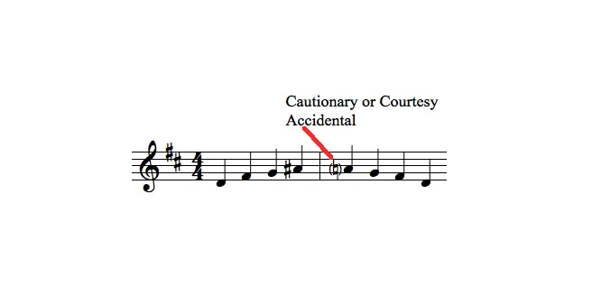 What Is an Accidental in Music? Definition, Uses & Examples
