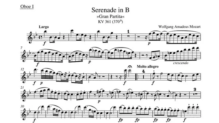 What is Chamber Music? Definition, History & Examples