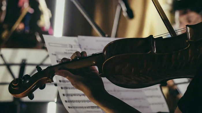 What is Chamber Music? Definition, History & Examples
