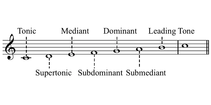 What is a Scale in Music? Definition, Different Types & Examples