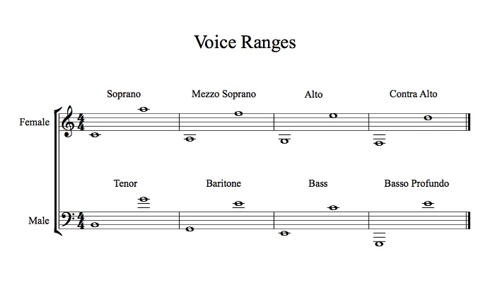 What Is an Octave in Music? Definition, Uses and Examples