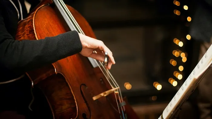 What Is Timbre In Music? Definition, Types & Examples