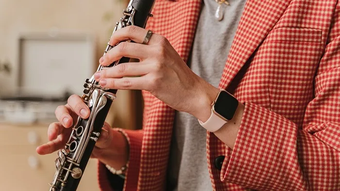 What Is Timbre In Music? Definition, Types & Examples