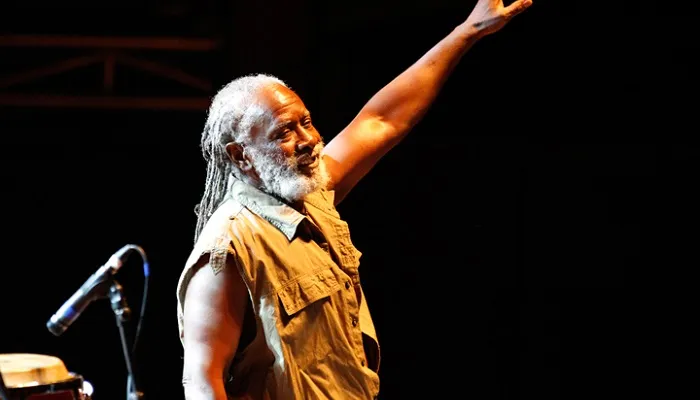 What Is Reggae? History, Meaning & Famous Artists