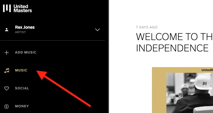 What Platforms Does UnitedMasters Distribute To?