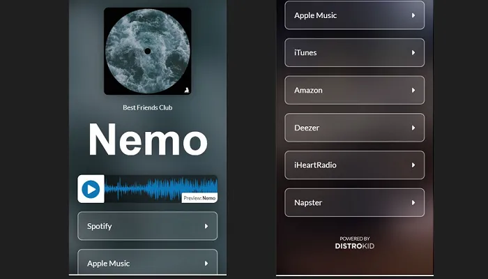 What Is Distrokid's HyperFollow and Should You Use It?