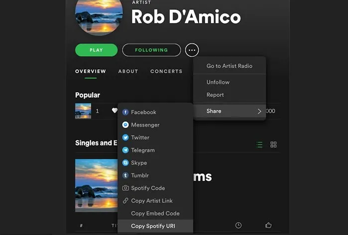 How to Find my Spotify Artist ID?
