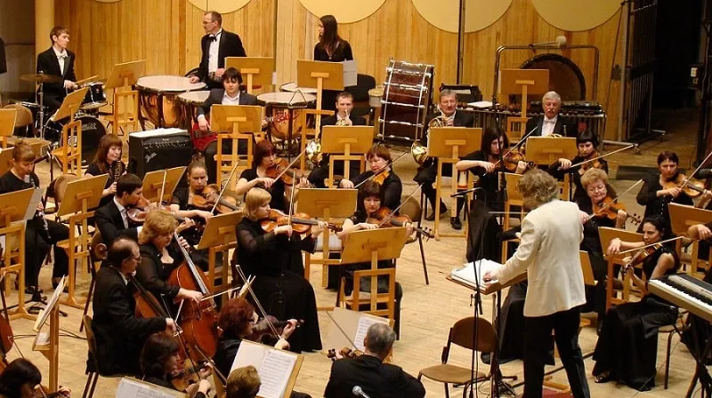 What Is an Orchestra? Instruments, Types, History and More