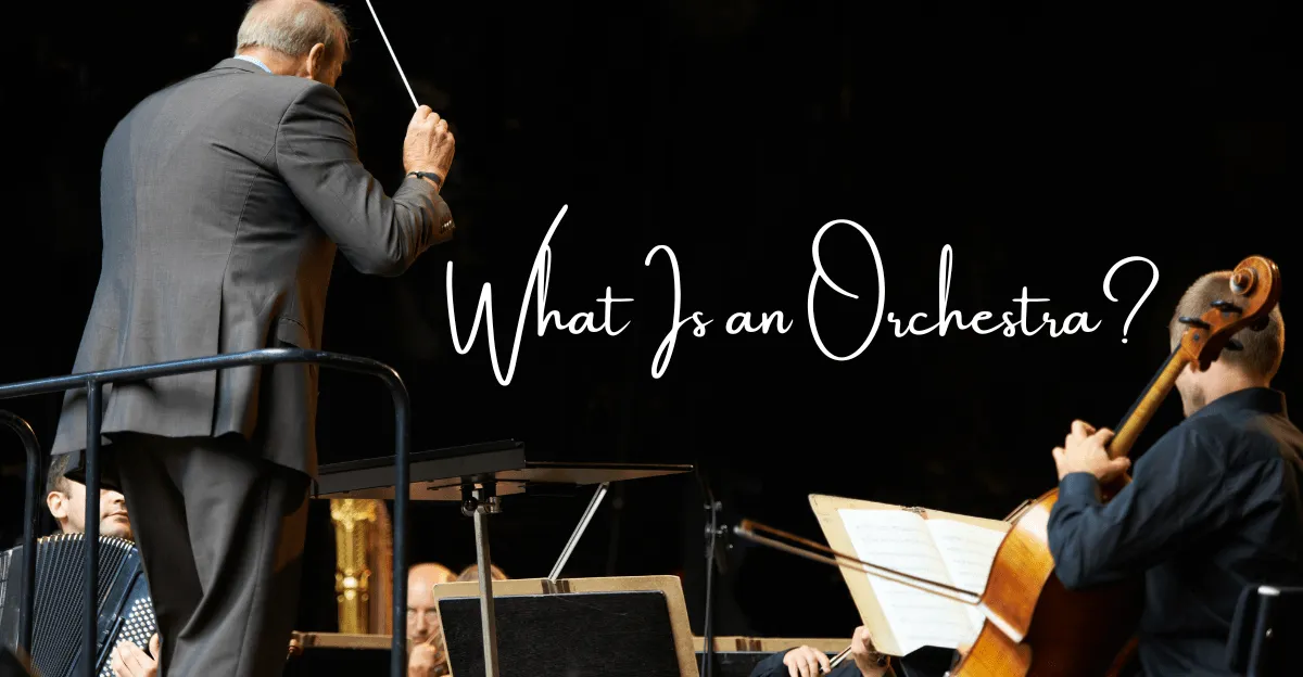 What Is an Orchestra? Instruments, Types, History and More