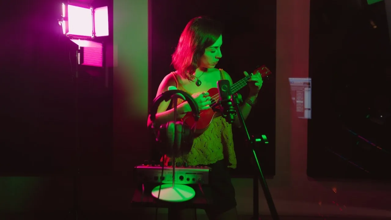 What is Record Label? Deals, Examples, and More