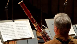 The 4 Main Types of Musical Instruments (with Examples)