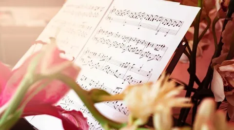 What Is Cut Time in Music? Definition, Types & Examples