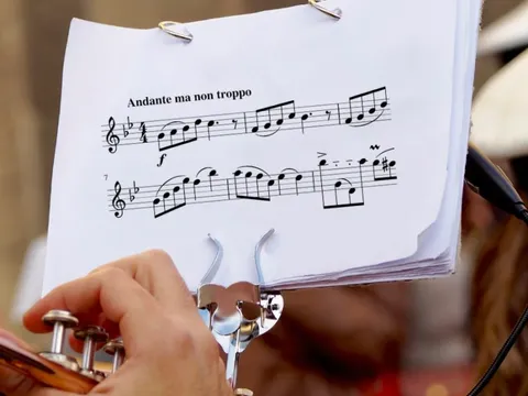 What Is Cut Time in Music? Definition, Types & Examples