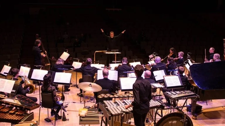 What Is an Orchestra? Instruments, Types, History and More