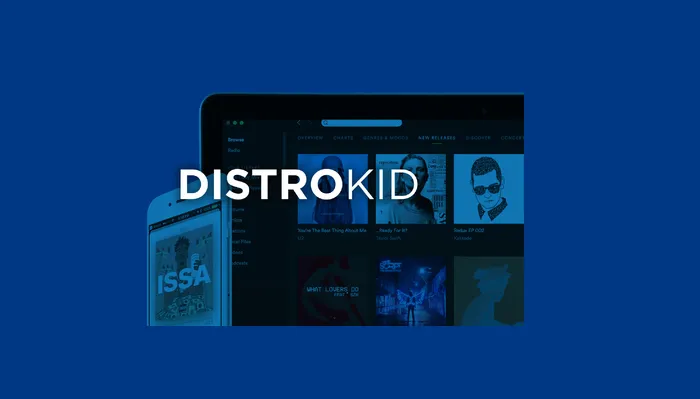 What Does the Yellow Dot on Distrokid Mean? (Guide)