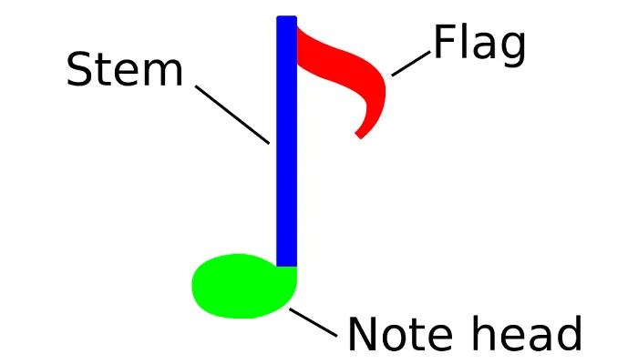 The Main Types of Notes in Music (Music Theory 101)