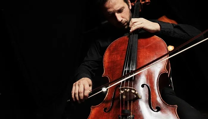 The 4 Main Types of Musical Instruments (with Examples)