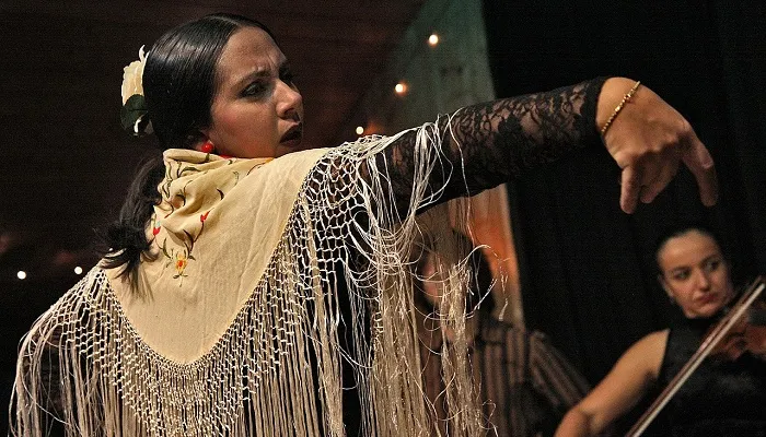 13+ Types of Spanish Music that are Conquering the World