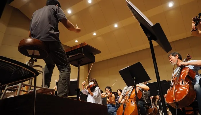 What are Acoustics in Music? Definition & Explanation