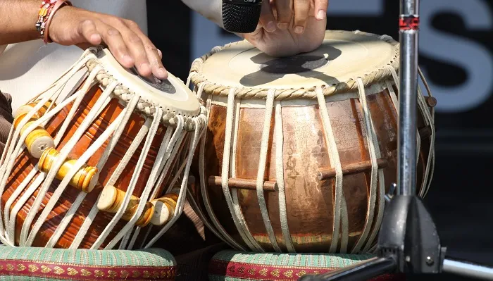 What are Acoustics in Music? Definition & Explanation