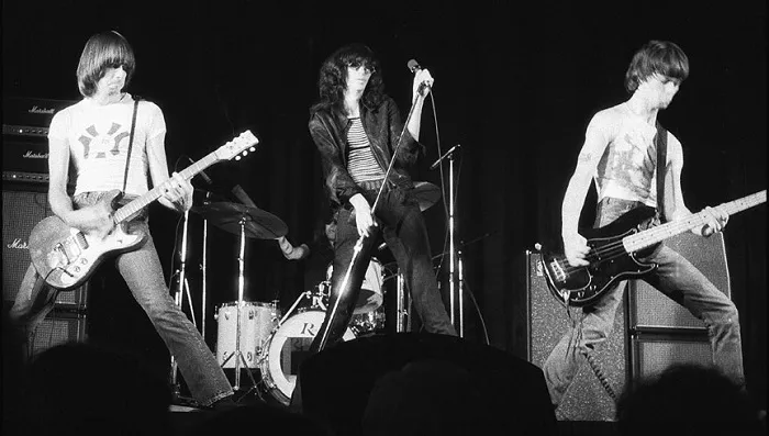 What Is Punk Music? Meaning, Artists, Culture & History