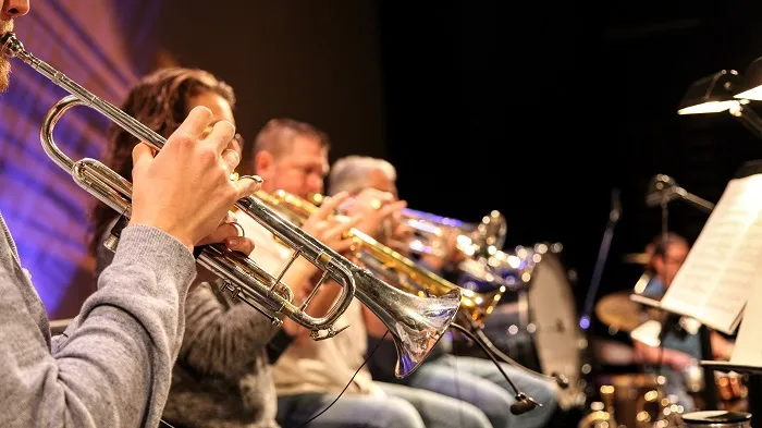 What is Acoustic Music? Meaning, Instruments & Examples