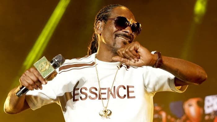 What Is Hip-Hop Music? Characteristics, Artists & Examples