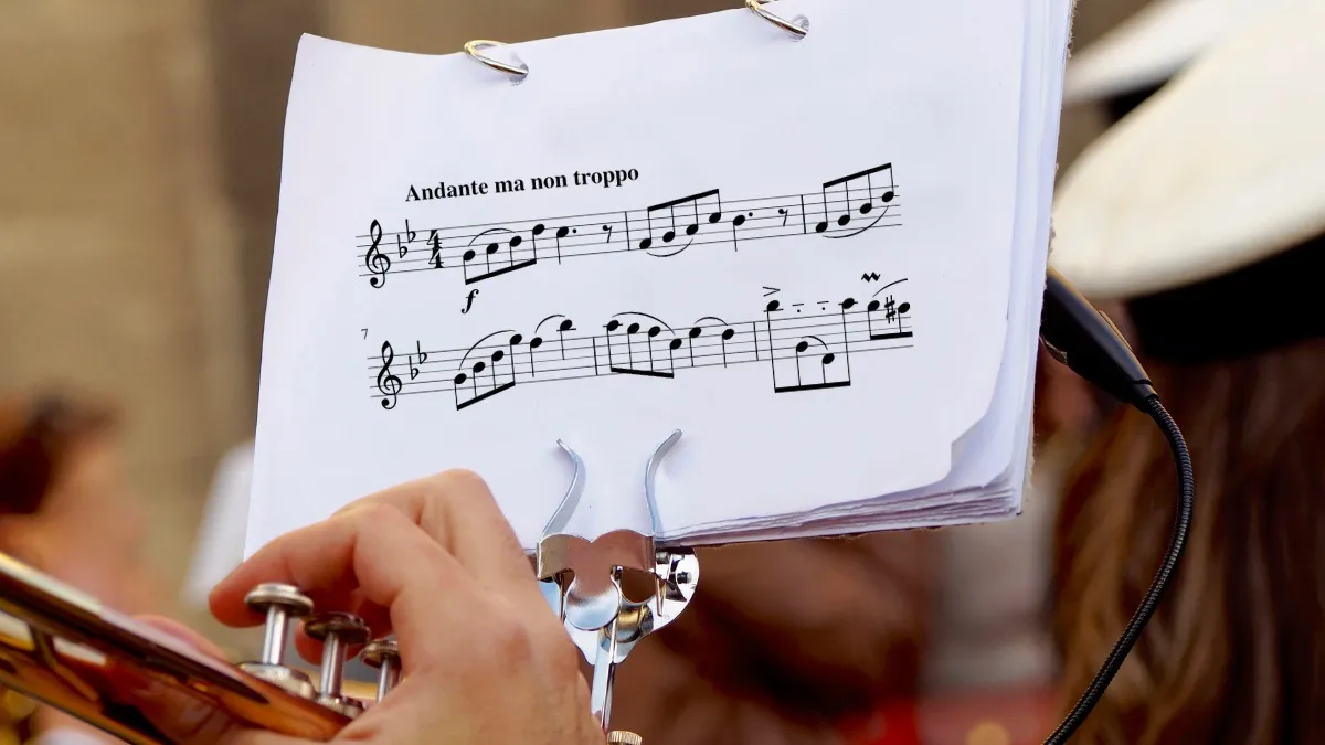 What Does Andante Mean in Music? Definition, Meaning & Examples