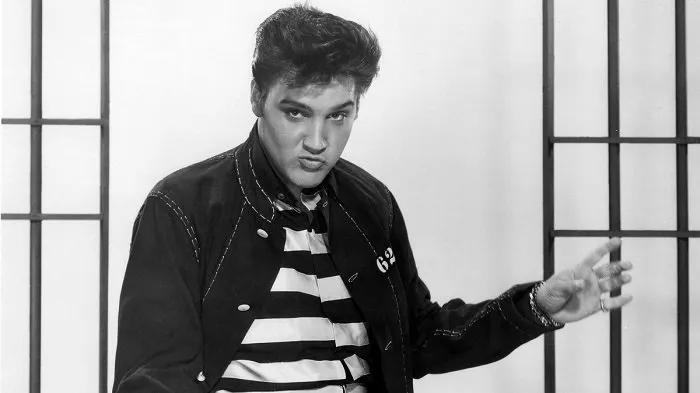 The 18 Best Pop Musicians that Everybody Loves