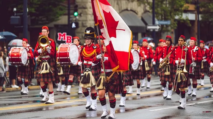 What is Instrumental Music? Definition, Types & Examples