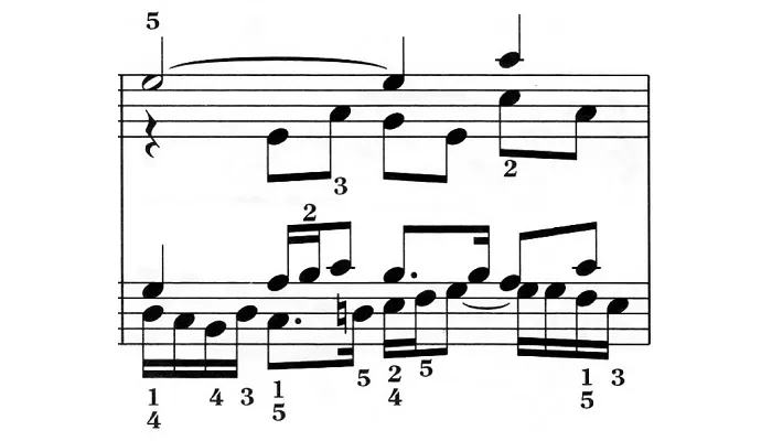 What Is Timbre In Music? Definition, Types & Examples