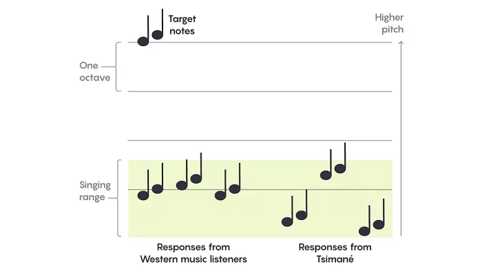 What Is an Octave in Music? Definition, Uses and Examples