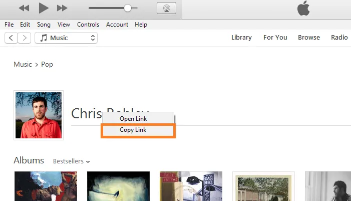 How Do I Find My Artist ID & URL in iTunes and Apple Music?