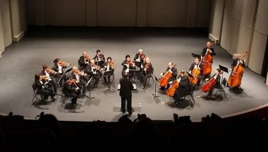 What Is an Orchestra? Instruments, Types, History and More