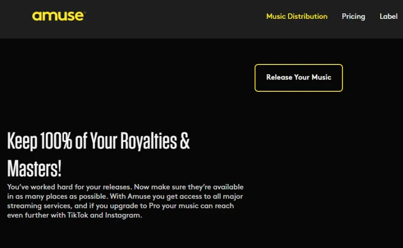 Amuse Review: Is it Overhyped or Really Worth It?